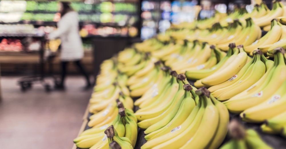 Online vs Physical Retail: What's the state of NZ shopping?