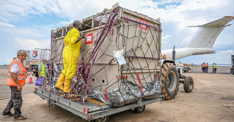 1 What It’s Like to Air Transport a Live Rhino Across the World – NZ ...