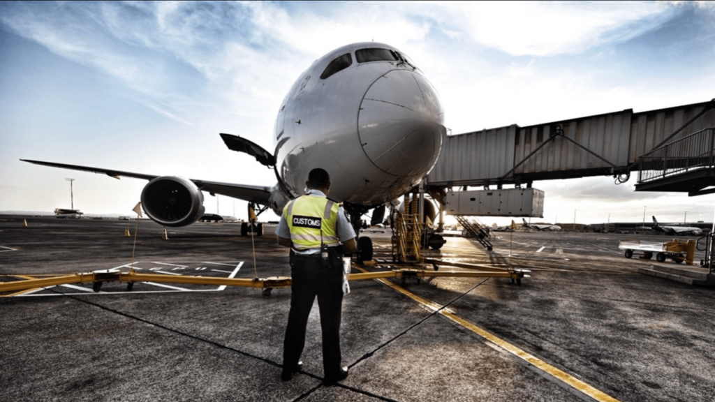 What You Must Know Before You Import Animals into NZ